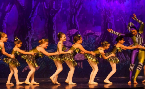 Gallery – Romar Dance Studio